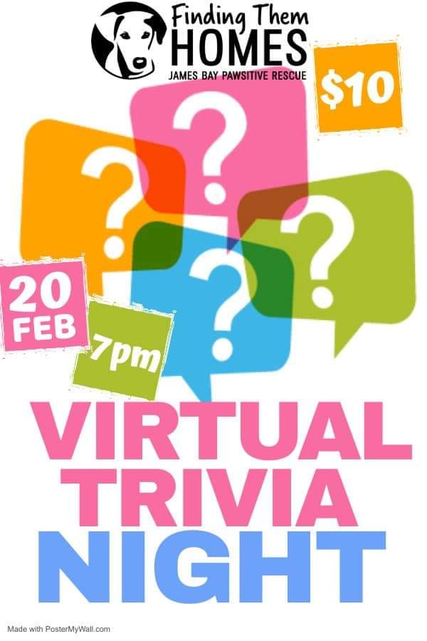 Virtual Trivia Night in support of Finding Them Homes | 101.1 Big FM